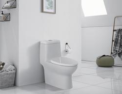 Tuscany® Ontario 1-Piece White Tall Elongated Toilet at Menards®