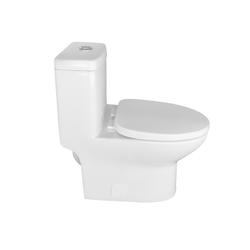 Tuscany® Ontario 1-Piece White Tall Elongated Toilet at Menards®