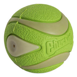 Chuckit!® Max Glow® Ultra Squeaker Ball Dog Toy at Menards®
