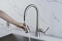Tuscany® Marianna™ One-Handle Pull-Down Stainless Kitchen Faucet at ...
