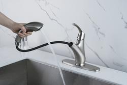 Tuscany® Rexton™ One-Handle Pull-Out Stainless Kitchen Faucet at Menards®