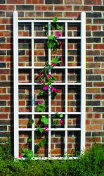 Dura-Trel 30"W x 66"H Cottage Trellis at Menards®