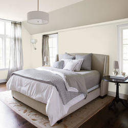 Dutch Boy® Platinum® Plus Interior Semi-Gloss Antiquated Lace 100 ...