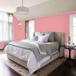 Dutch Boy® Platinum® Plus Interior Matte Cupcake Pink 100% Acrylic ...