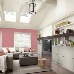 Dutch Boy® Platinum® Plus Interior Matte Cupcake Pink 100% Acrylic ...