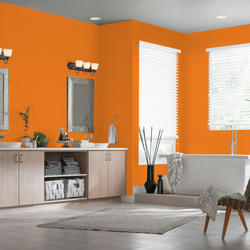 Dutch Boy® Platinum® Plus Interior Satin Outback Orange 100& Acrylic ...