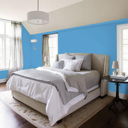 Dutch Boy® Dura Clean® Interior Flat Blue Morning Glory Paint + Primer ...