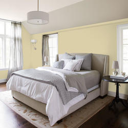 Dutch Boy® Platinum® Plus Interior Matte Banana Chip 100% Acrylic Paint ...