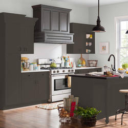 Dutch Boy® Platinum® Plus Cabinet, Door & Trim Interior/Exterior Satin ...