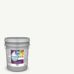 Dutch Boy® Forever™ Interior Eggshell Super White Paint+ Primer - 5 gal ...