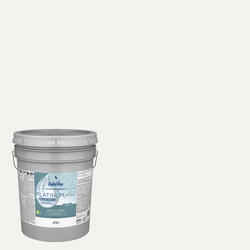 Dutch Boy® Platinum® Plus Interior Satin Birched White 100& Acrylic ...