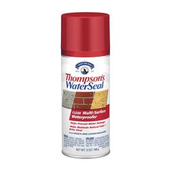 Thompson's® WaterSeal® Clear Multi-Surface Waterproofer Spray - 12 oz ...
