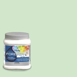 Dutch Boy® Forever™ Exterior Satin Scottish Glenn Paint + Primer - 1 qt ...