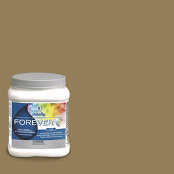 Dutch Boy® Forever™ Exterior Satin Bike Path Paint + Primer - 1 qt. at ...