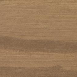 Dutch Boy® Lasso Semi-Transparent Exterior Stain + Sealer - 1 gal. at ...