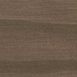 Dutch Boy® Twig Semi-Transparent Exterior Stain + Sealer - 5 gal. at ...