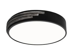 Traian Black LED Flush Mount Ceiling Light 2-Pack at Menards®