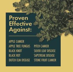 Treekote Brush-On Tree Wound, Pruning and Grafting Compound Dressing ...