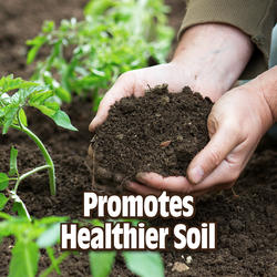 FOREVER GREEN® Natural Slow Release Nitrogen Lawn Fertilizer - 2,500 sq ...