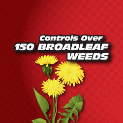 FOREVER GREEN® Weed & Feed Lawn Fertilizer - 10,000 sq. ft. at Menards®