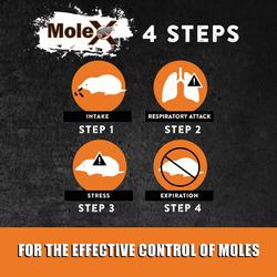 Mole-X™ Mole Killer - 8 oz. at Menards®
