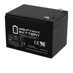 Mighty Max™ 12V 12Ah Sealed Lead Acid (SLA) AGM Rechargeable Battery at ...