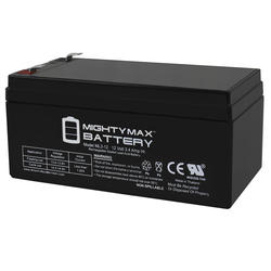 Mighty Max™ 12V Battery - 2 Pack at Menards®
