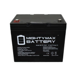 Mighty Max™ 12V 75Ah Sealed Lead Acid (SLA) Rechargeable Battery at ...