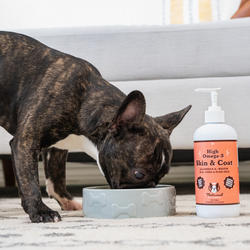 Natural Dog Company Skin and Coat Oil for Dogs - 16 oz at Menards®
