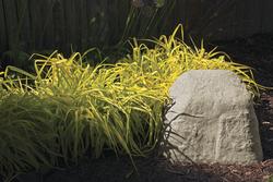 Emsco Group Medium Plastic Architectural Rock at Menards®