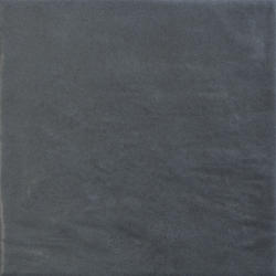 Emser Passion™ Matte Azul 9 x 9 Porcelain Floor and Wall Tile at Menards®