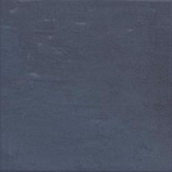 Emser Passion™ Polished Azul 9 x 9 Porcelain Floor and Wall Tile at ...