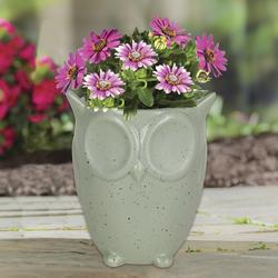8" Sage Owl Ceramic Planter at Menards®