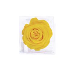 Yellow Preserved Rose at Menards®