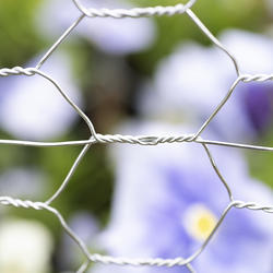 2' x 25' Galvanized Poultry Netting at Menards®