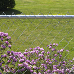 8' x 50' 9-Gauge Galvanized Chain-Link Fence Fabric at Menards®