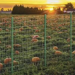 7' Steel Fence Heavy Duty U-Post at Menards®