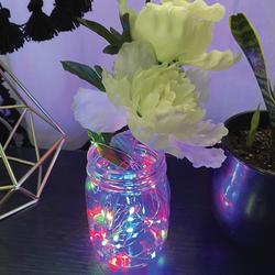 Feit Electric® 10' Color Changing LED Fairy String Light at Menards®