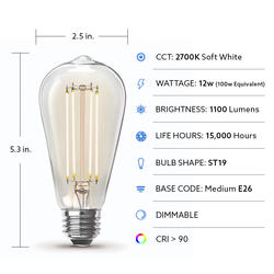 Feit Electric® Enhance® 100 Watt Equivalent Clear Dimmable ST19 E26 ...