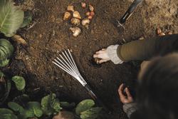 Fiskars® Xact™ Hand Rake at Menards®