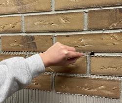 FlexeBrick Burnt Red Flat Brick Veneer (11 Sq Ft) at Menards®