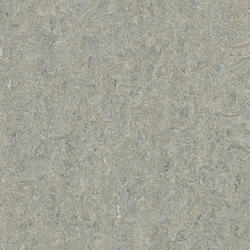 Forbo Marmoleum Cinch Loc Seal Alpine Mist 11.81" x 35.43" Linoleum ...