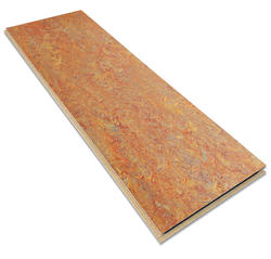 Forbo Marmoleum Cinch Loc Seal Asian Tiger 11.81" x 35.43" Linoleum ...
