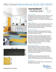 Forbo Marmoleum Cinch Loc Seal Dark Bistre 11.81" x 35.43" Linoleum ...