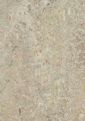 Forbo Marmoleum Cinch Loc Seal Agate 11.81" x 11.81" Linoleum Square (6 ...