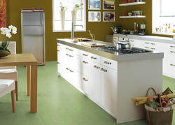 Forbo Marmoleum Cinch Loc Seal Leaf 11.81" x 11.81" Linoleum Square (6. ...