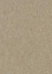 Forbo Marmoleum Cinch Loc Seal Weathered Sand 11.81" x 35.43" Linoleum ...