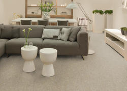 Forbo Marmoleum Cinch Loc Seal Weathered Sand 11.81" x 35.43" Linoleum ...