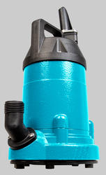 Little Giant® 1/3 HP Cast Aluminum Utility Pump at Menards®