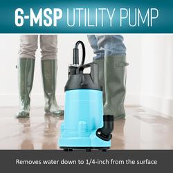 Little Giant® 1/3 HP Cast Aluminum Utility Pump at Menards®